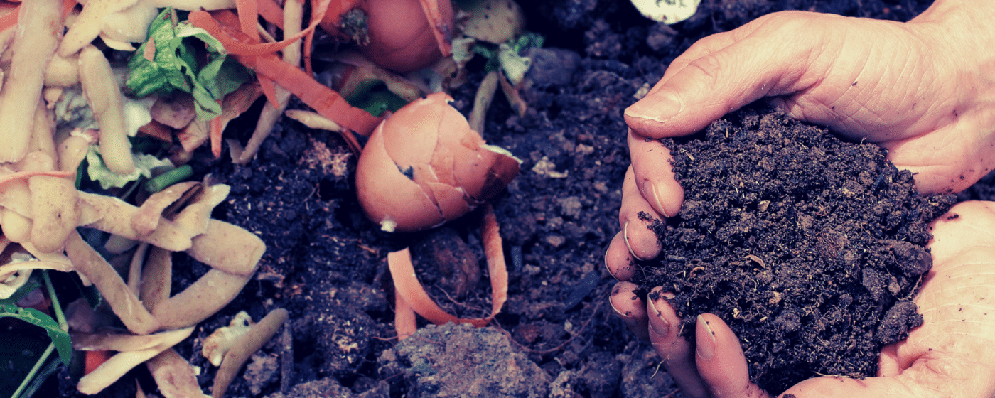 Composting: Why It Matters and 4 Ways You Can Get Started Today